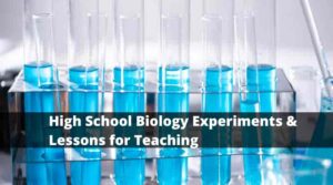 5 High School Biology Experiments & Lessons for Teaching | HealthtoStyle
